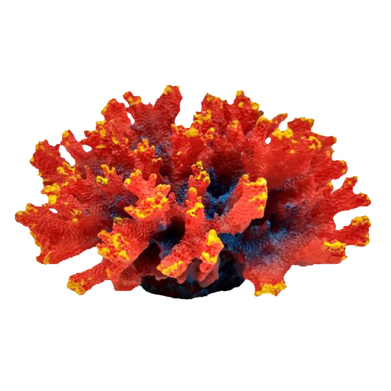 Red Branching Coral